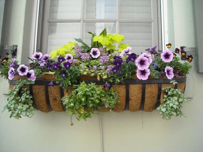 Ideas para convertir tu balcón en jardín